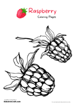 Raspberry Coloring Pages For Kids – Free Printables - Kids Art & Craft