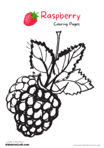 Raspberry Coloring Pages For Kids – Free Printables - Kids Art & Craft
