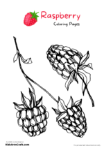 Raspberry Coloring Pages For Kids – Free Printables - Kids Art & Craft