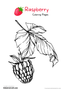 Raspberry Coloring Pages For Kids – Free Printables - Kids Art & Craft