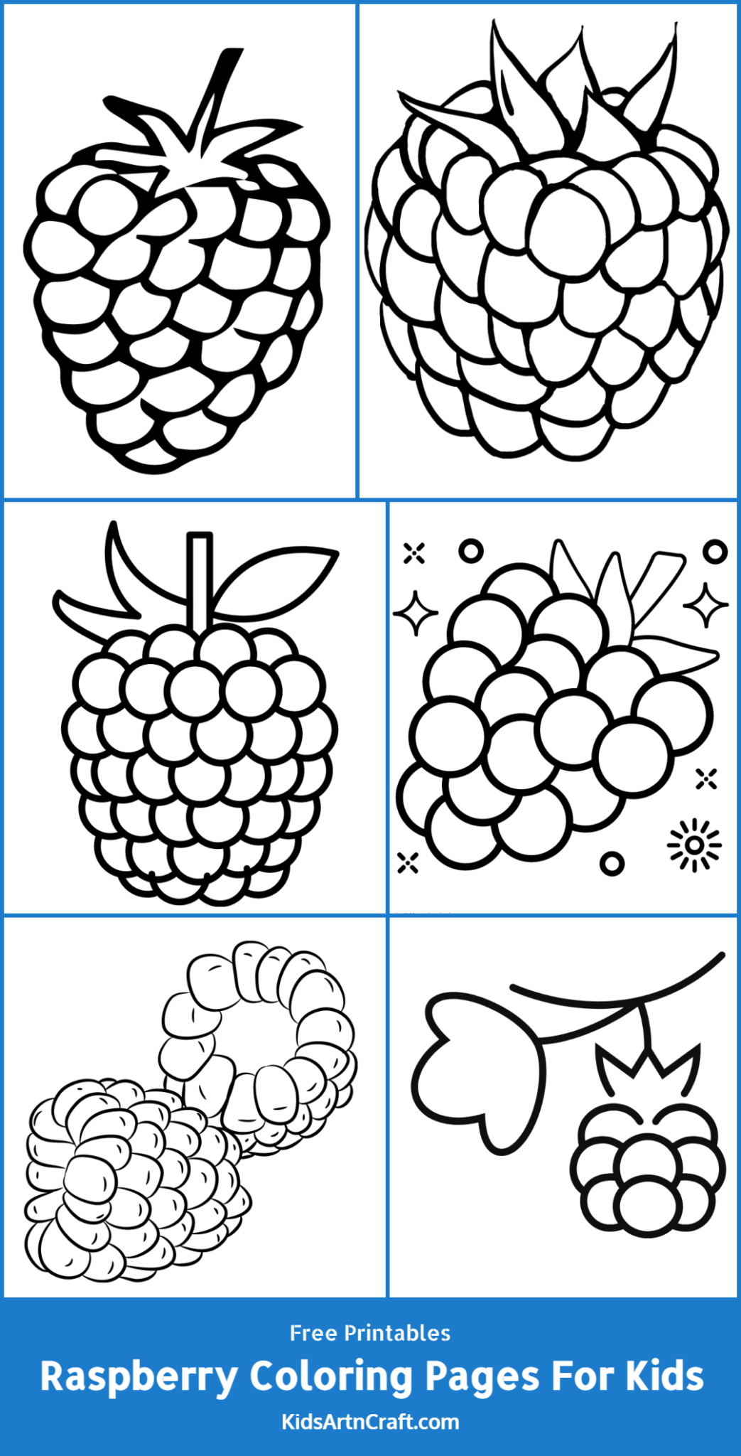 Raspberry Coloring Pages For Kids – Free Printables - Kids Art & Craft