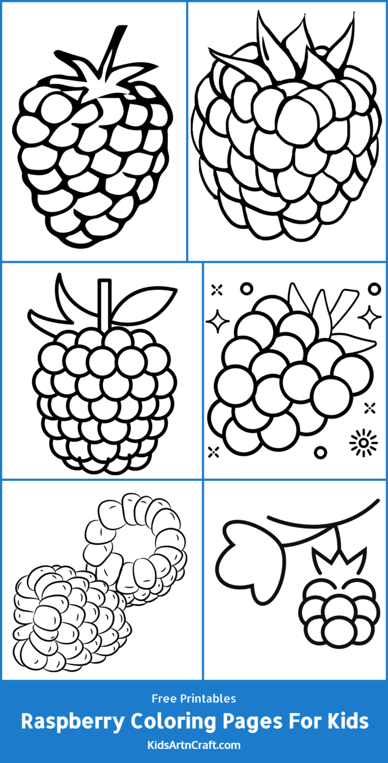 Raspberry Coloring Pages For Kids – Free Printables - Kids Art & Craft