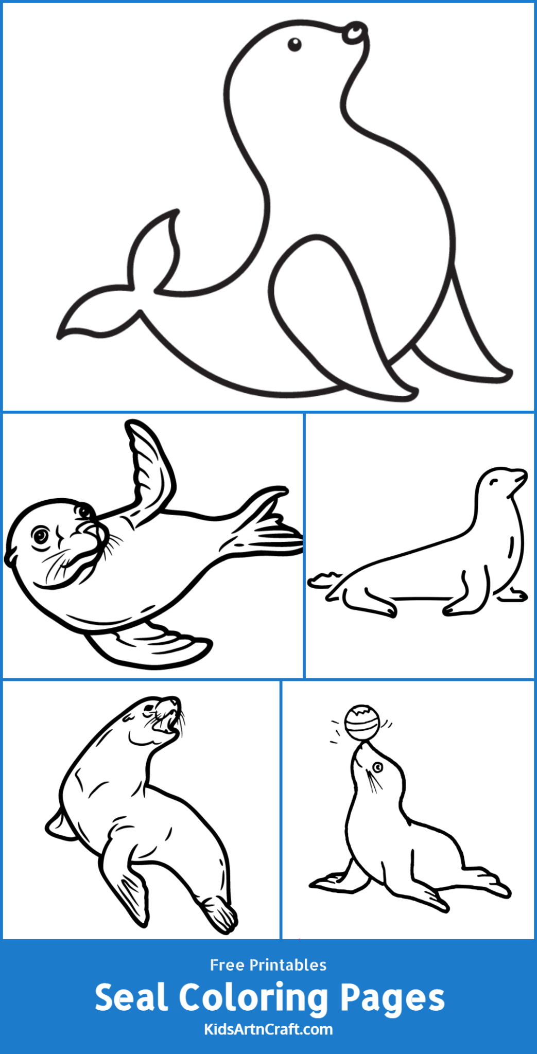 Seal Coloring Pages For Kids – Free Printables - Kids Art & Craft