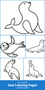 Seal Coloring Pages For Kids – Free Printables - Kids Art & Craft