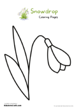 Snowdrop Coloring Pages For Kids – Free Printables - Kids Art & Craft