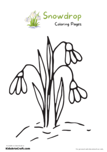 Snowdrop Coloring Pages For Kids – Free Printables - Kids Art & Craft