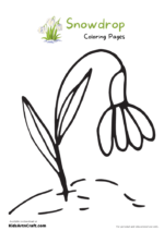 Snowdrop Coloring Pages For Kids – Free Printables - Kids Art & Craft