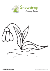 Snowdrop Coloring Pages For Kids – Free Printables - Kids Art & Craft