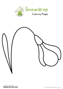 Snowdrop Coloring Pages For Kids – Free Printables - Kids Art & Craft