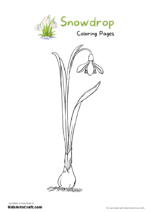 Snowdrop Coloring Pages For Kids – Free Printables - Kids Art & Craft