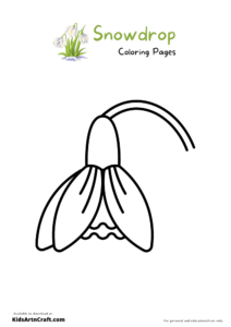 Snowdrop Coloring Pages For Kids – Free Printables - Kids Art & Craft