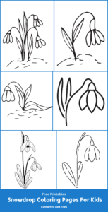 Snowdrop Coloring Pages For Kids – Free Printables - Kids Art & Craft