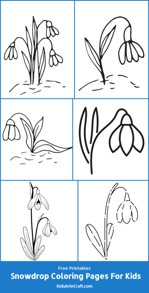 Snowdrop Coloring Pages For Kids – Free Printables - Kids Art & Craft