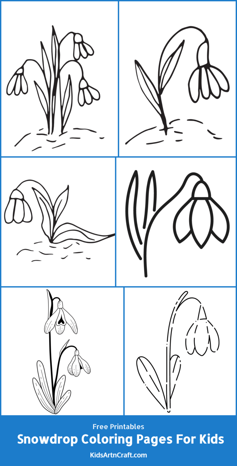 Snowdrop Coloring Pages For Kids – Free Printables - Kids Art & Craft