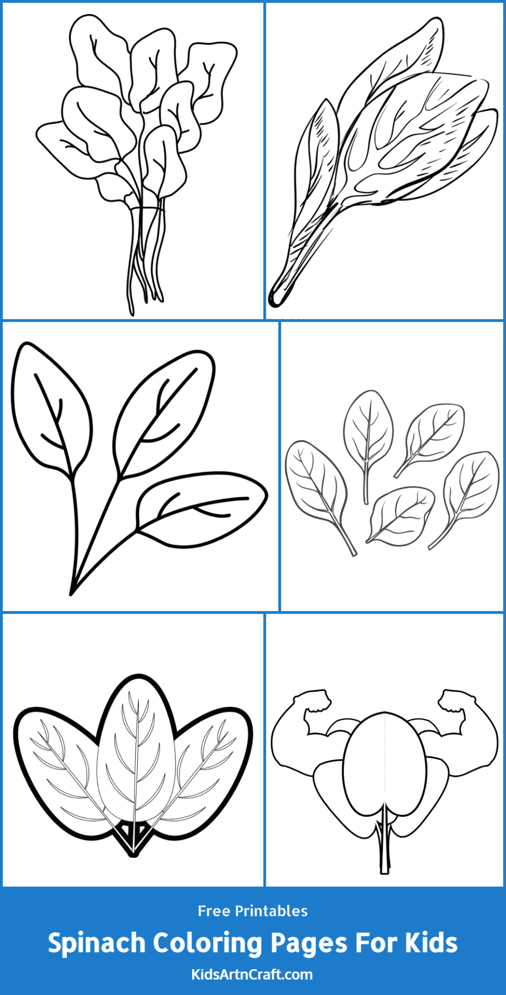 Spinach Coloring Pages For Kids – Free Printables - Kids Art & Craft