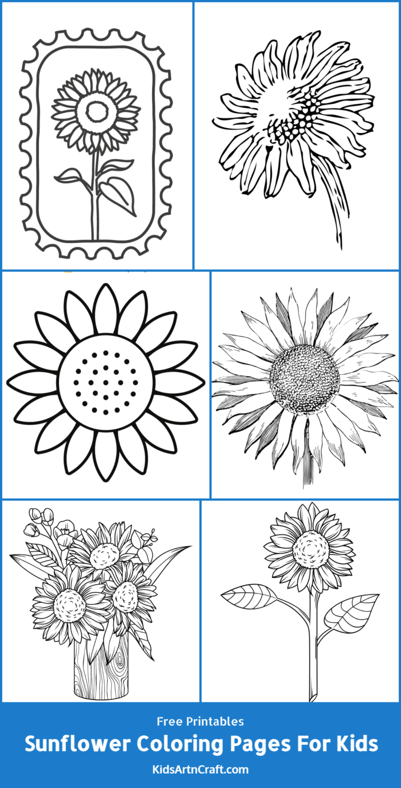 Sunflower Coloring Pages For Kids – Free Printables - Kids Art & Craft