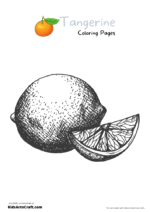 Tangerine Coloring Pages For Kids – Free Printables - Kids Art & Craft