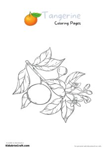 Tangerine Coloring Pages For Kids – Free Printables - Kids Art & Craft