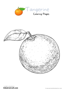 Tangerine Coloring Pages For Kids – Free Printables - Kids Art & Craft