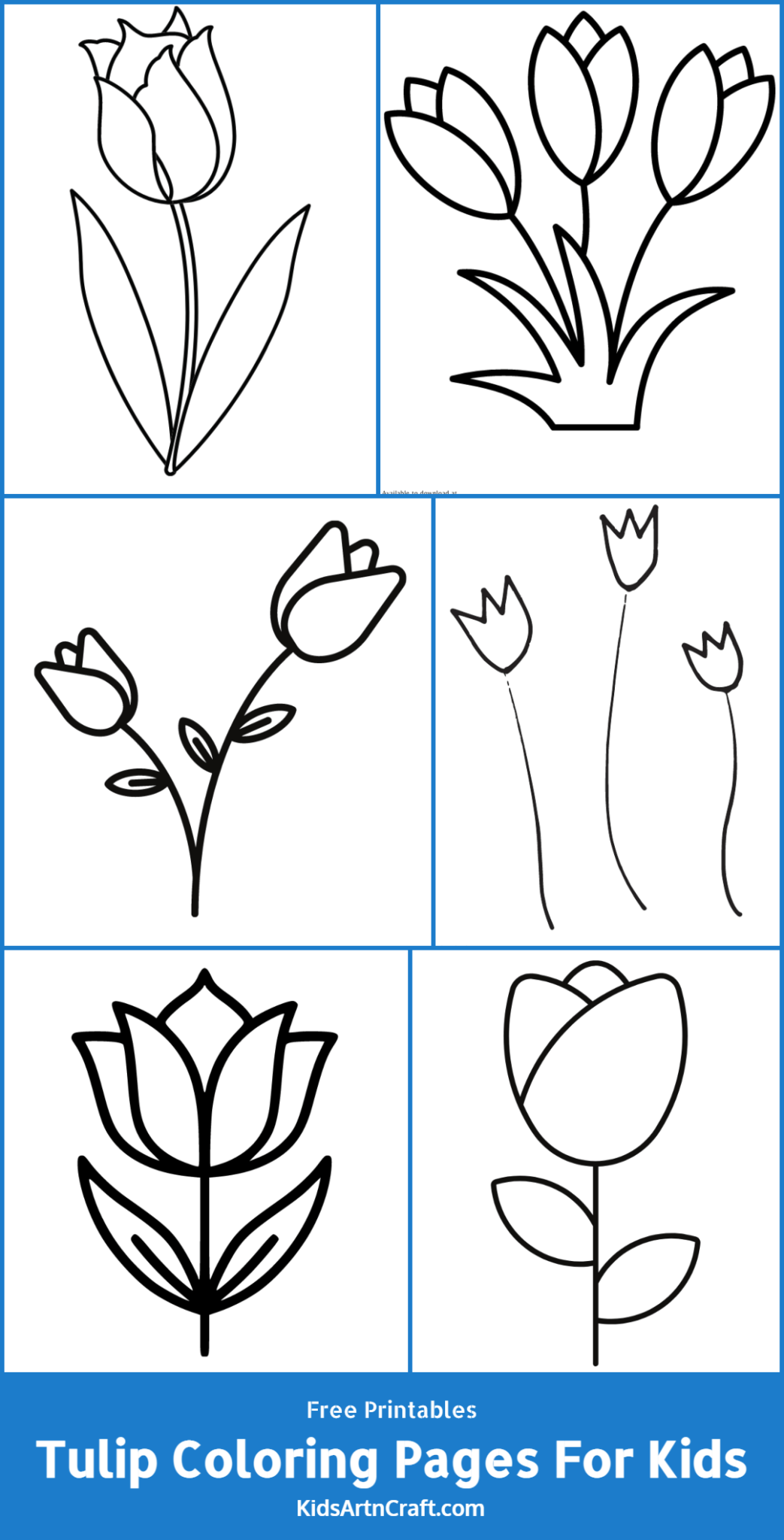 Tulip Coloring Pages For Kids – Free Printables - Kids Art & Craft