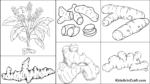 Turmeric Coloring Pages For Kids – Free Printables - Kids Art & Craft