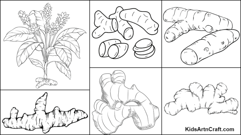 Turmeric Coloring Pages For Kids – Free Printables - Kids Art & Craft