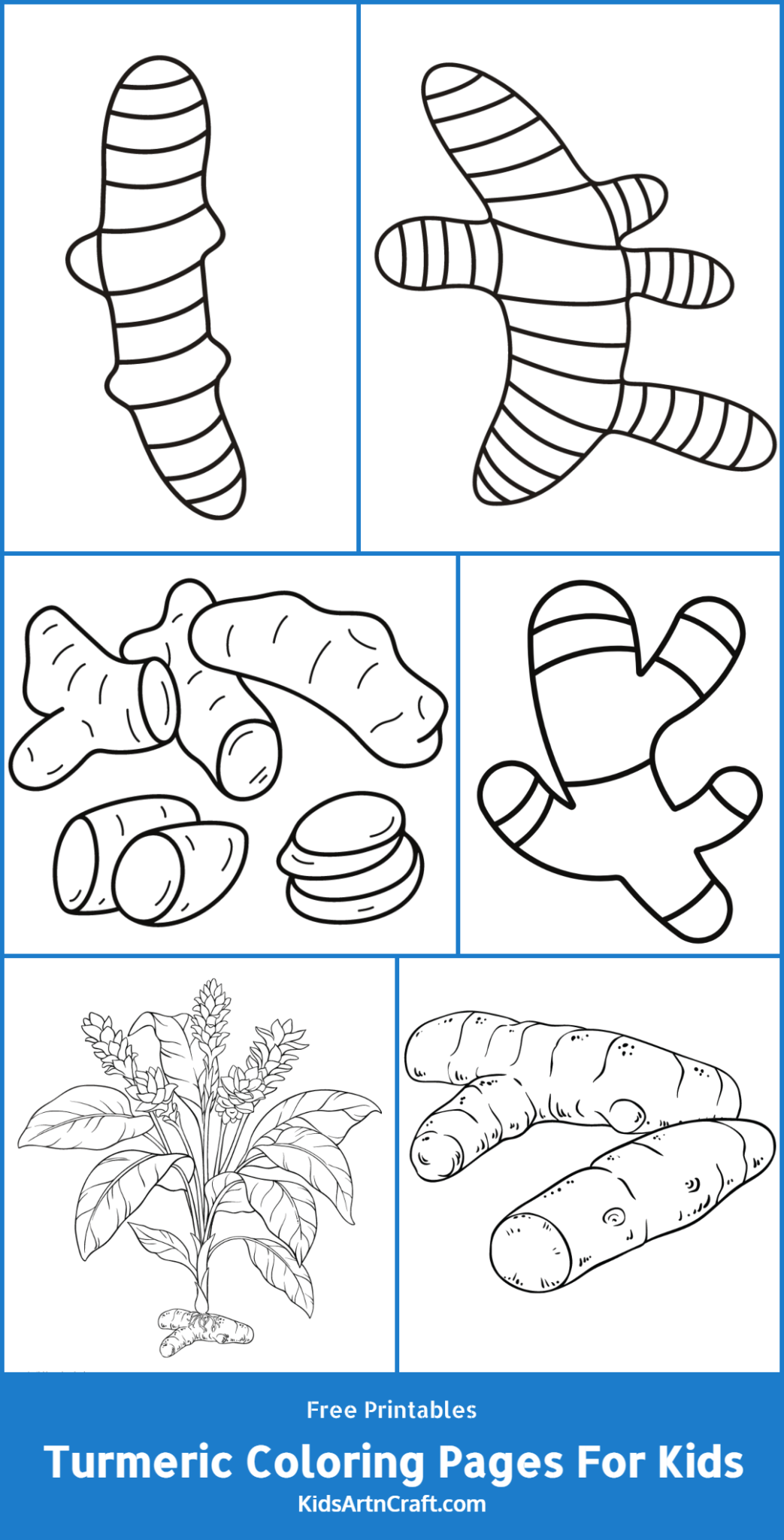 Turmeric Coloring Pages For Kids – Free Printables - Kids Art & Craft