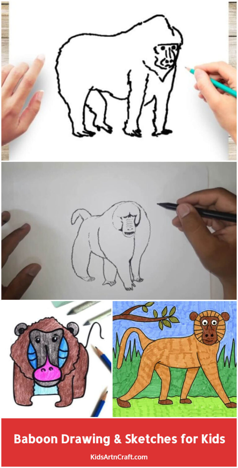 Baboon Drawing & Sketches For Kids - Kids Art & Craft