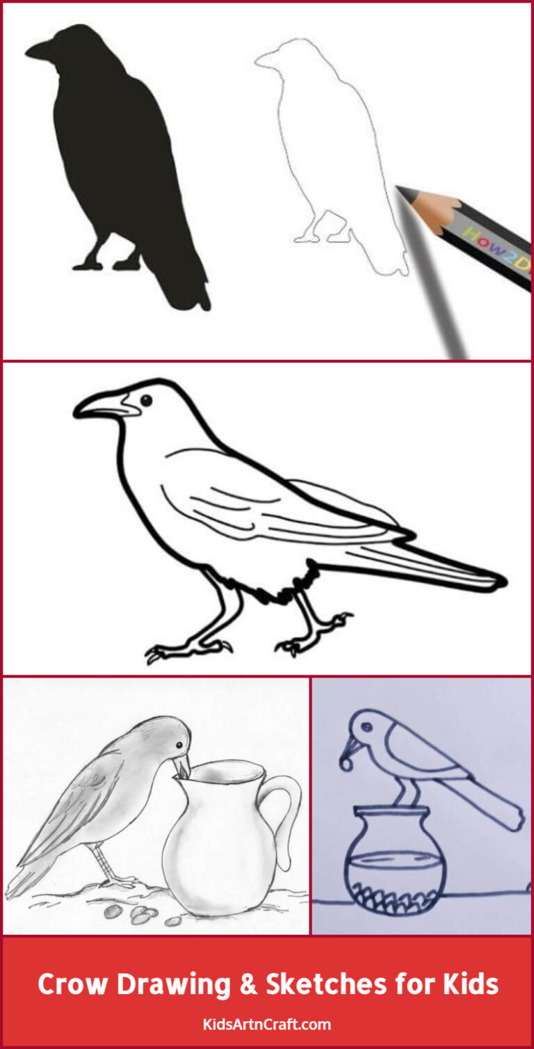 Crow Drawing & Sketches for Kids - Kids Art & Craft