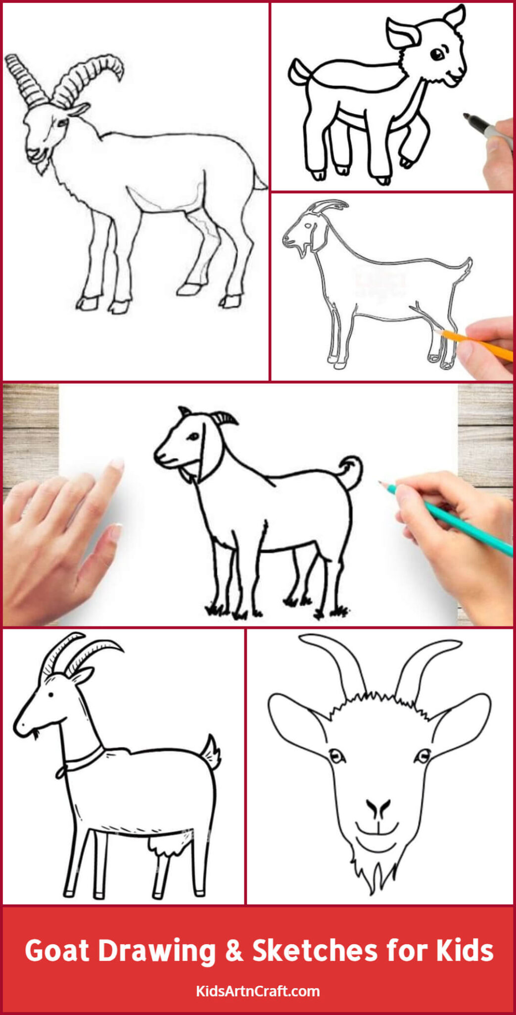 Goat Drawing & Sketches for Kids - Kids Art & Craft