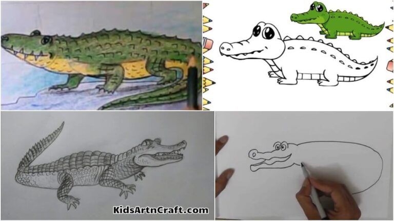 Alligator Drawing & Sketches for Kids - Kids Art & Craft