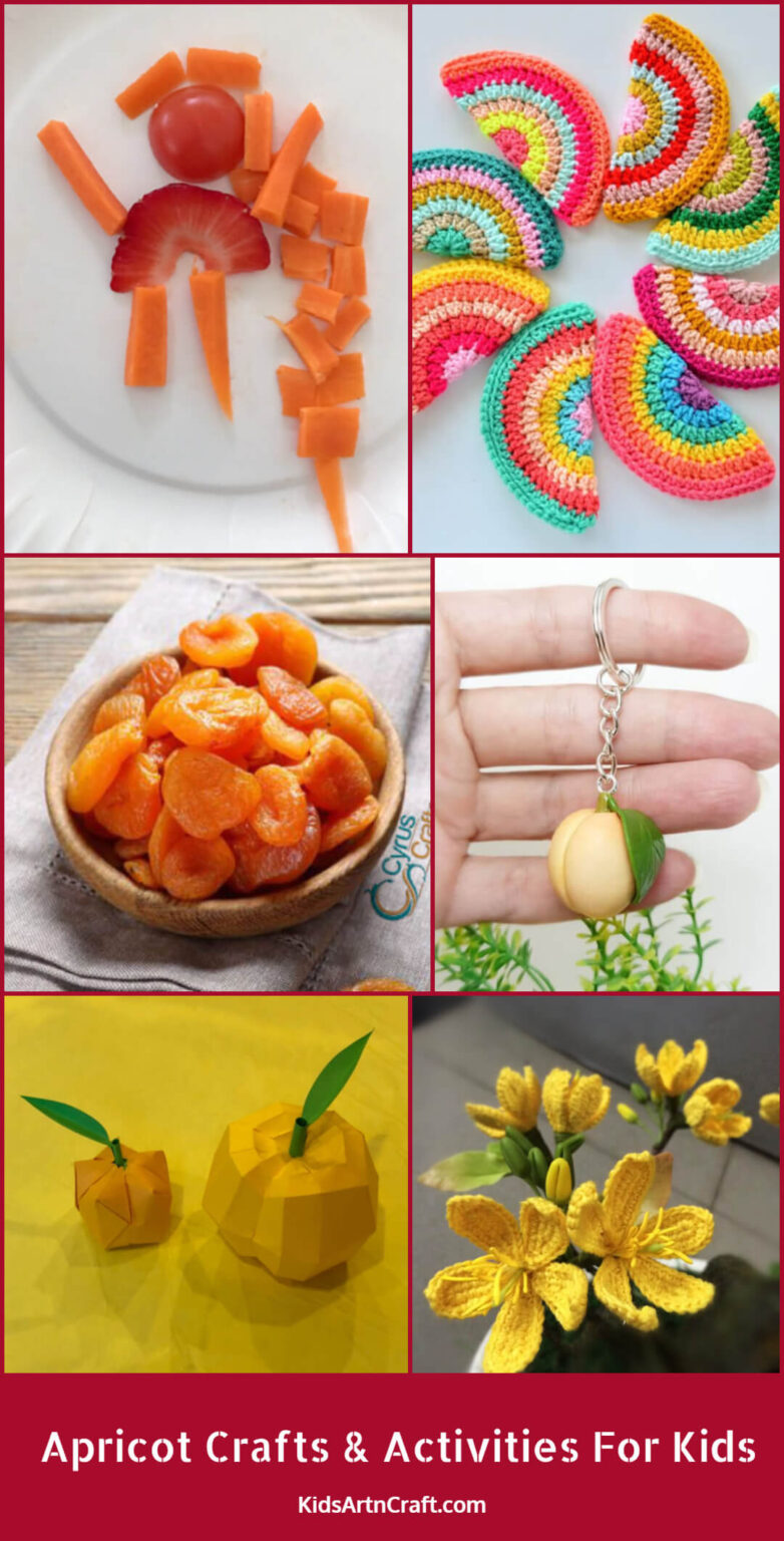Apricot Crafts & Activities For Kids - Kids Art & Craft