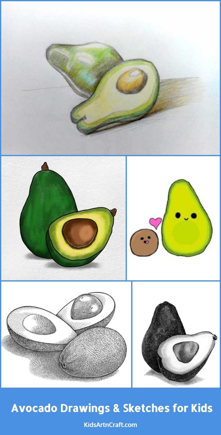 Avocado Drawings & Sketches for Kids - Kids Art & Craft