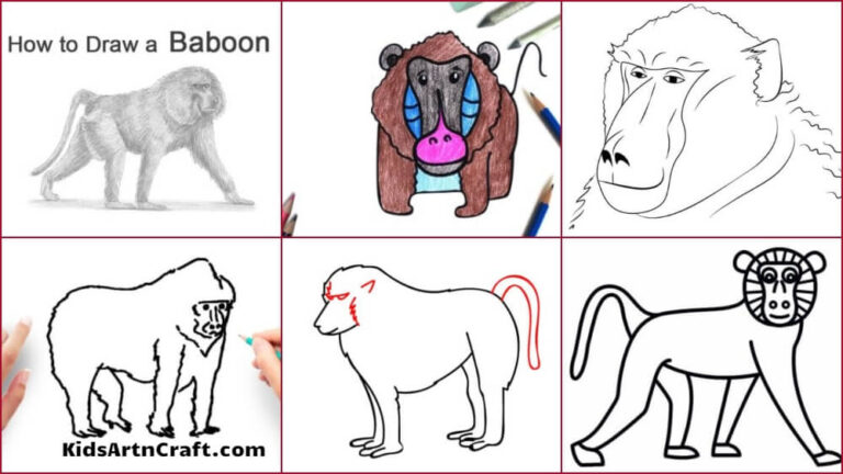 Baboon Drawing & Sketches For Kids - Kids Art & Craft