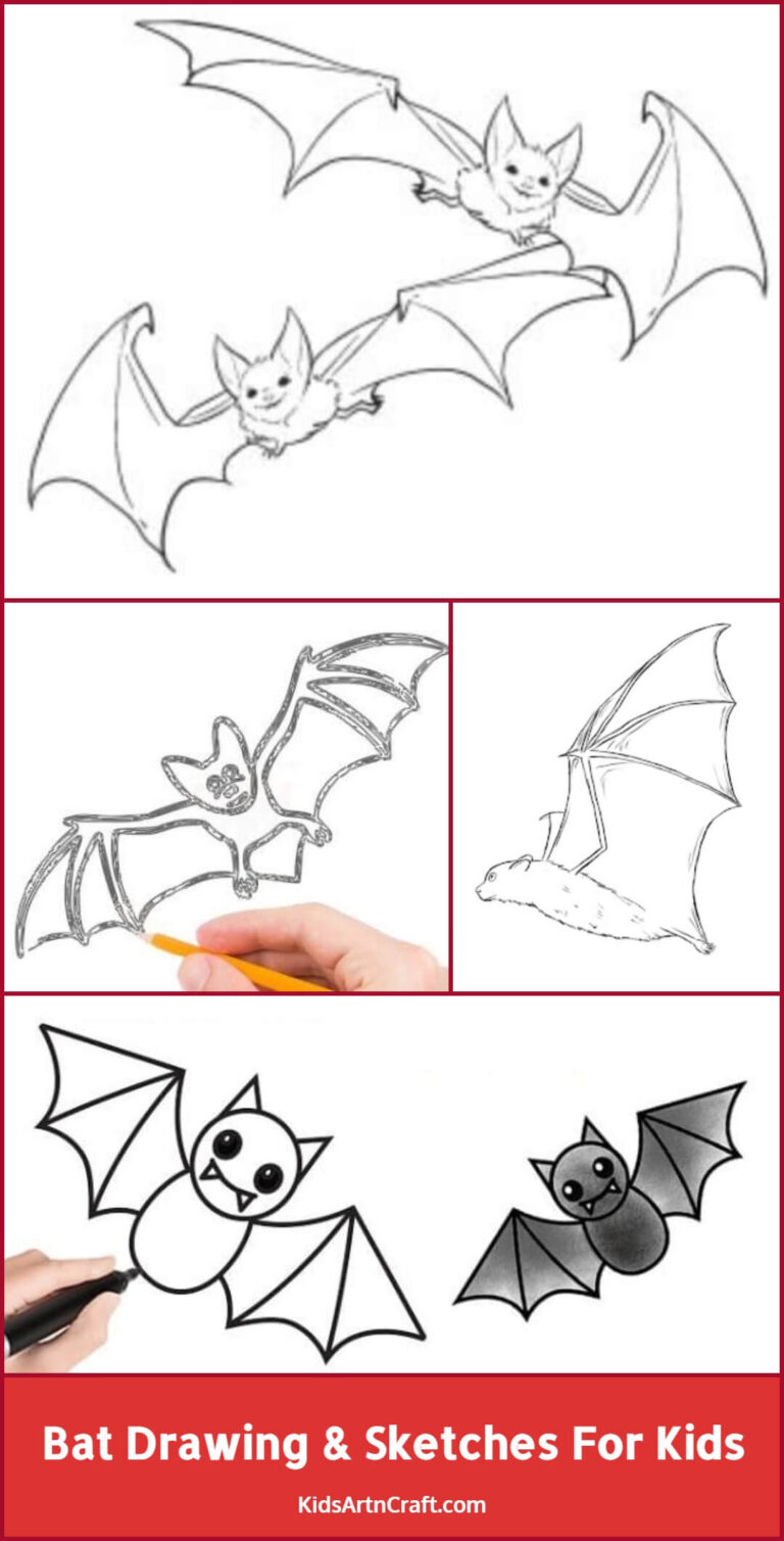 Bat Drawing & Sketches for Kids - Kids Art & Craft