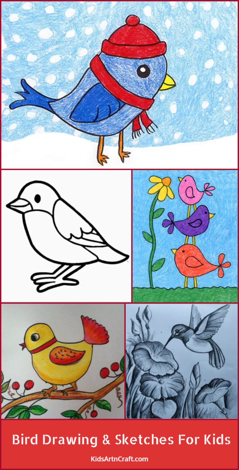 Bird Drawings & Sketches For Kids - Kids Art & Craft