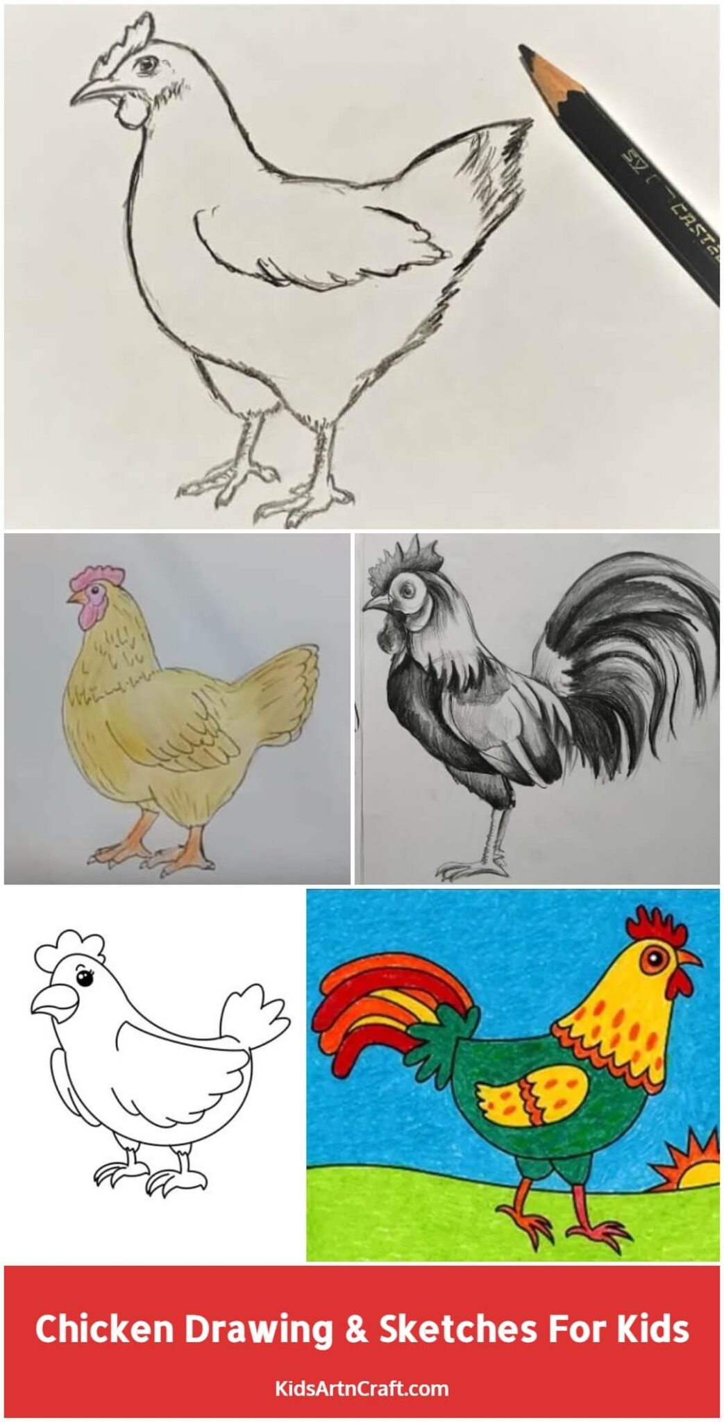 Chicken Drawing & Sketches For Kids - Kids Art & Craft