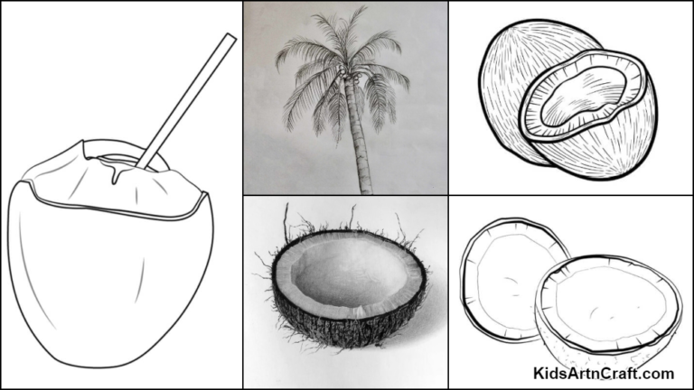 Coconut Drawing & Sketches for Kids - Kids Art & Craft