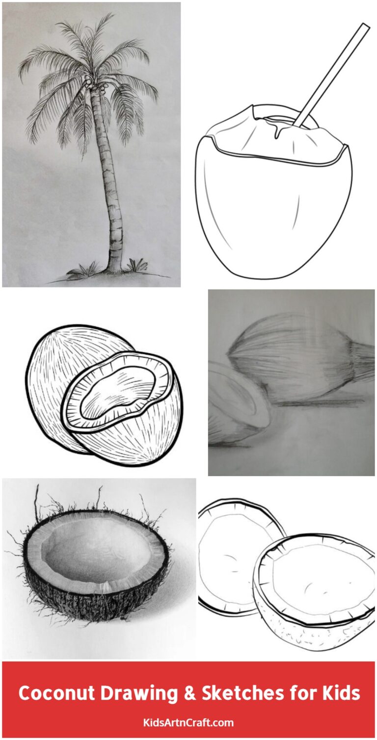 Coconut Drawing & Sketches for Kids - Kids Art & Craft