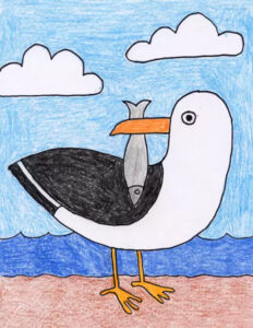 Gull Drawing & Sketches For Kids - Kids Art & Craft