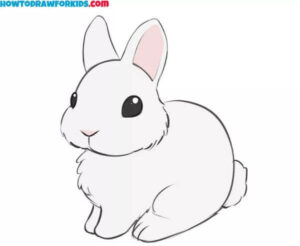 Rabbit Drawing & Sketches for Kids - Kids Art & Craft