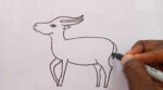 Antelope Drawing & Sketches For Kids - Kids Art & Craft