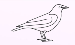 Crow Drawing & Sketches for Kids - Kids Art & Craft