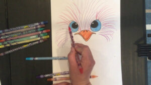Emu Drawing & Sketch For Kids - Kids Art & Craft