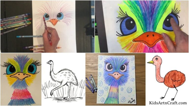 Emu Drawing & Sketch For Kids - Kids Art & Craft