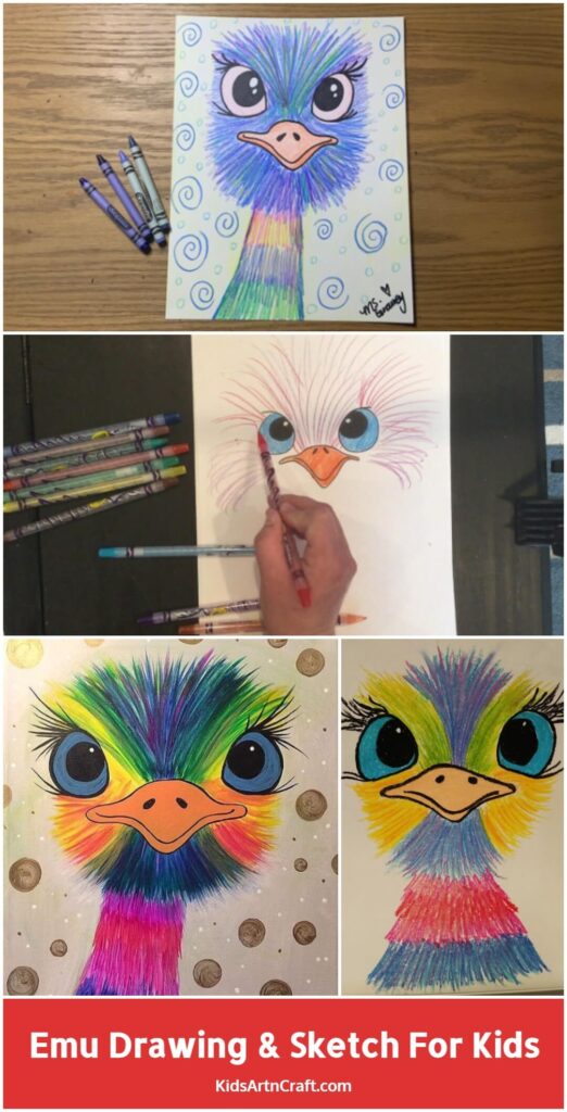 Emu Drawing & Sketch For Kids - Kids Art & Craft