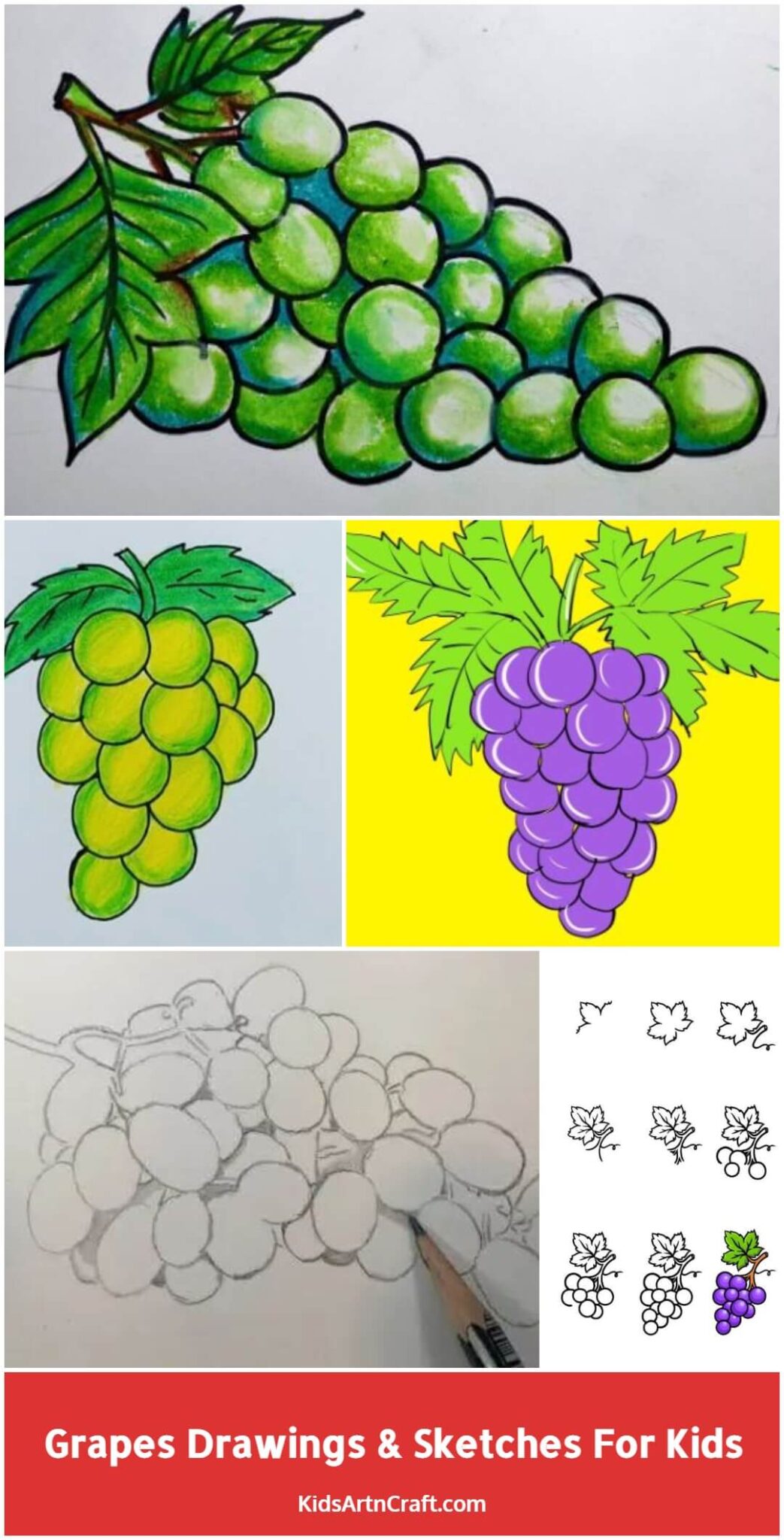 Grapes Drawings & Sketches for Kids - Kids Art & Craft