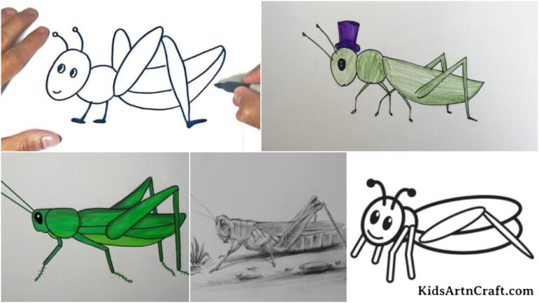 Grasshopper Drawing & Sketches For Kids - Kids Art & Craft