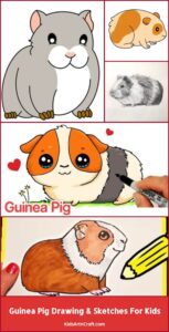 Guinea Pig Drawing & Sketches For Kids - Kids Art & Craft