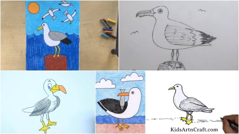 Gull Drawing & Sketches For Kids - Kids Art & Craft